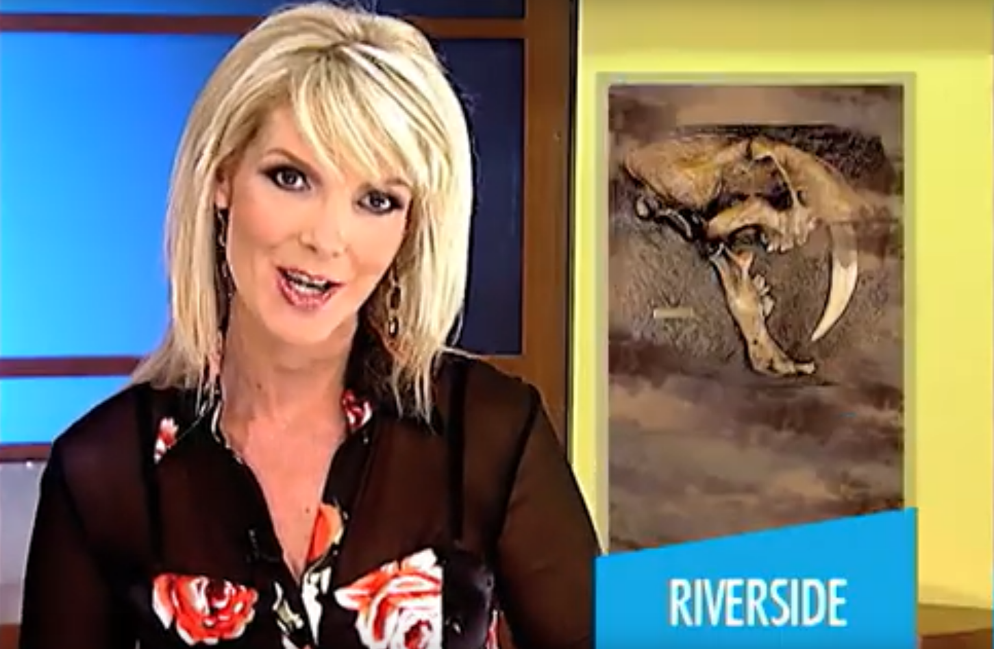 Coast to coast TV – Syndicated Television Show Airing Nationwide